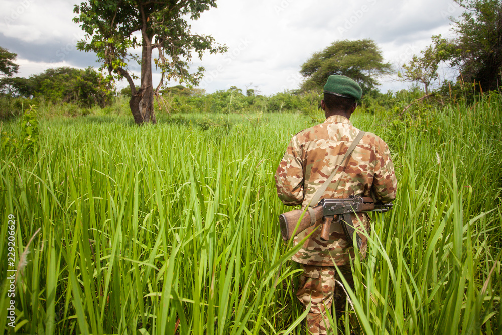 Ranger in tall grass Stock Photo | Adobe Stock