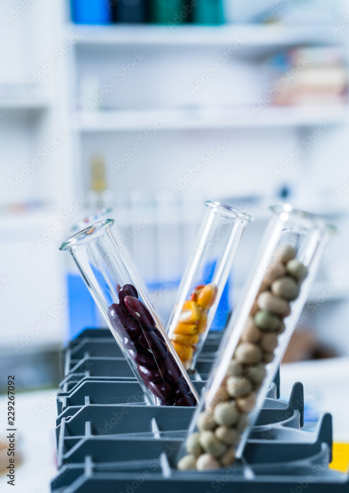 Chemical Laboratory of the Food supply . Food in laboratory, dna modify ...