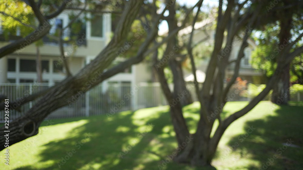Defocused background plate of beautiful branchy trees in front of ...
