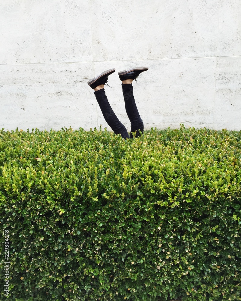 Legs in the bushes Stock Photo | Adobe Stock