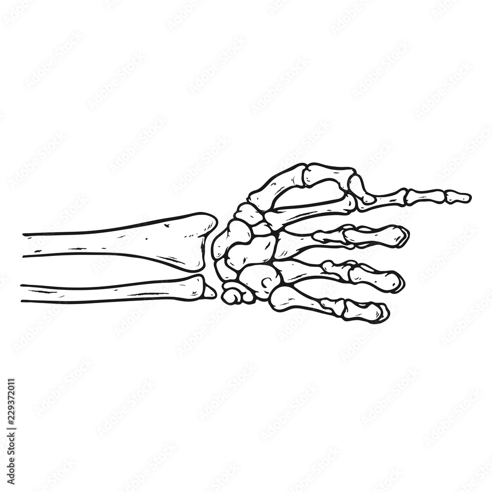 Pointing Hand Sign, Skeleton Hand, Vector Illustration Stock Vector ...