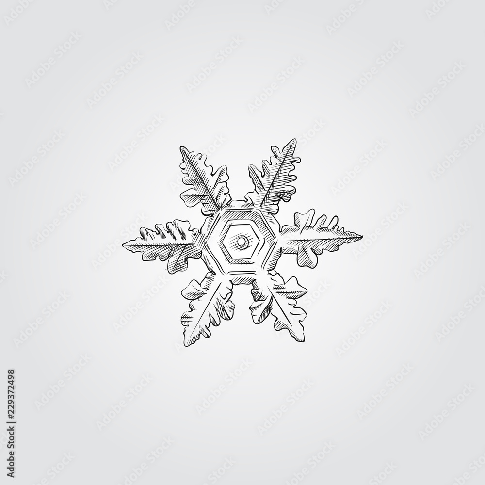 Snowflake Sketch