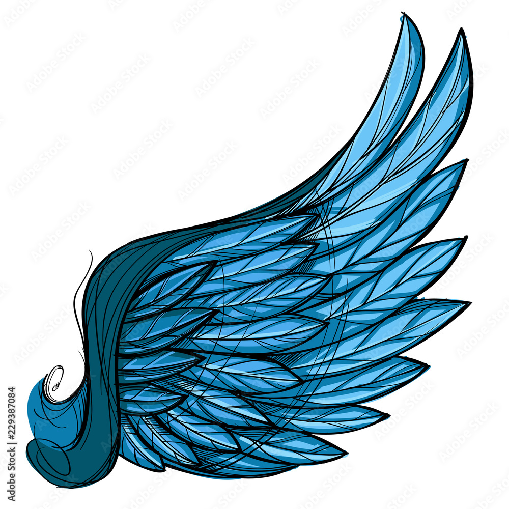 Vector illustration of blue wing, isolated on white background. Design ...