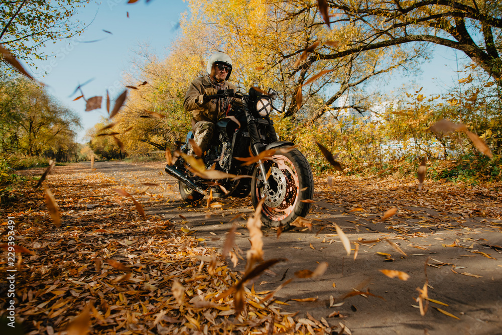 Motorcycle Autumn Trees