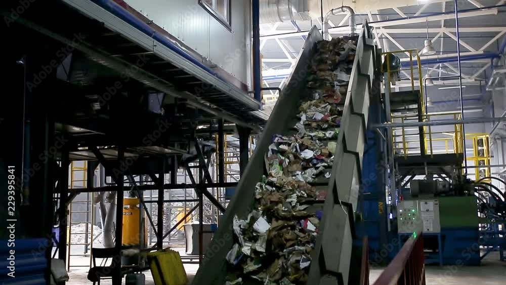 waste sorting conveyor. Separate garbage collection. Recycling and ...