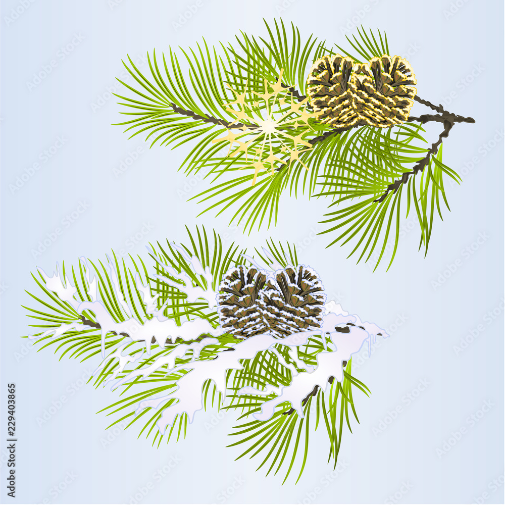 How To Draw A Pine Tree With Snow