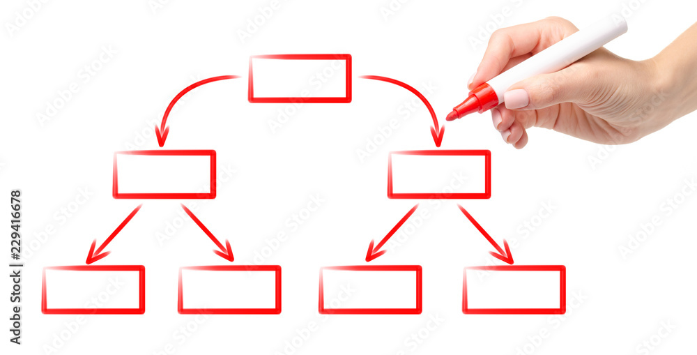 Hand marker drawing diagram scheme empty flow chart isolated on white ...