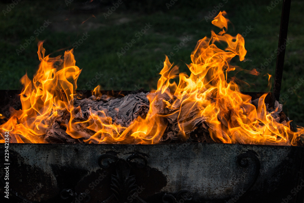 Flaming fire. Documents burning. Dance of fire spirits. Ignition of ...