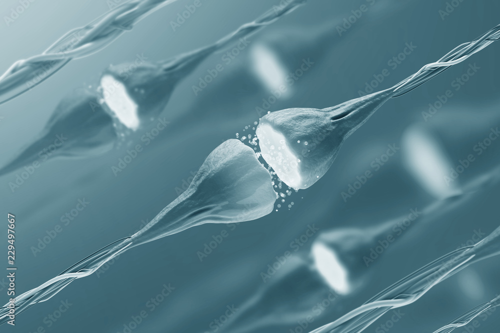 Neuron Electron Microscope