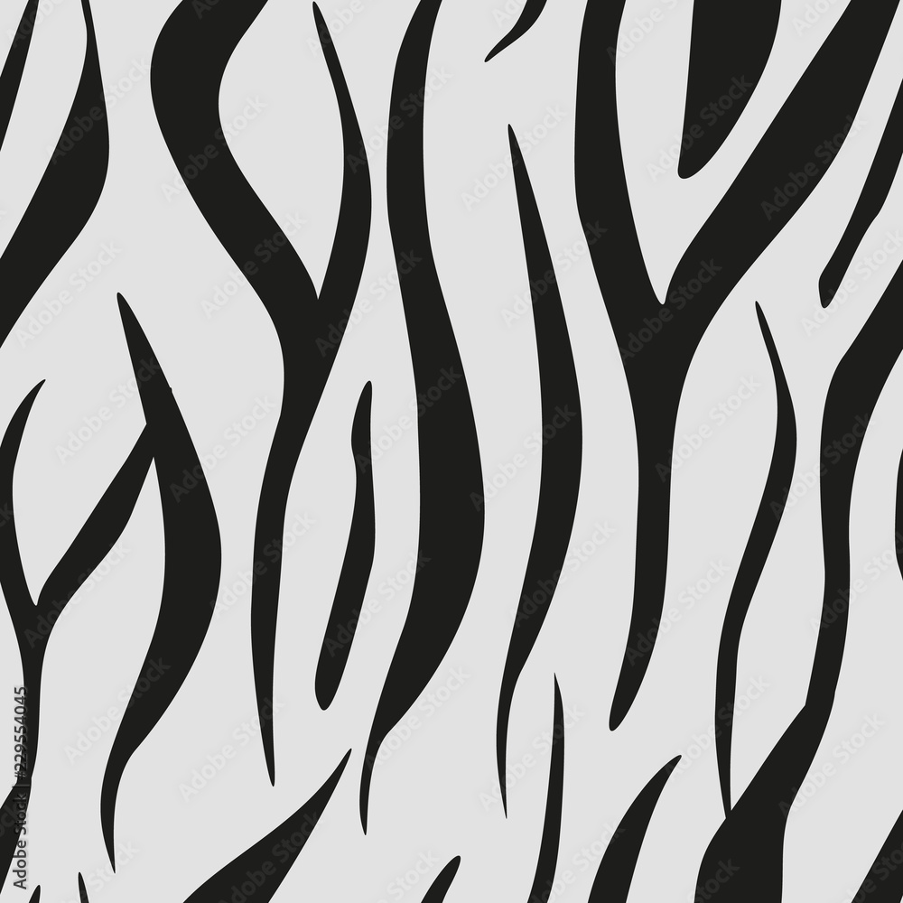 Zebra Print Vector