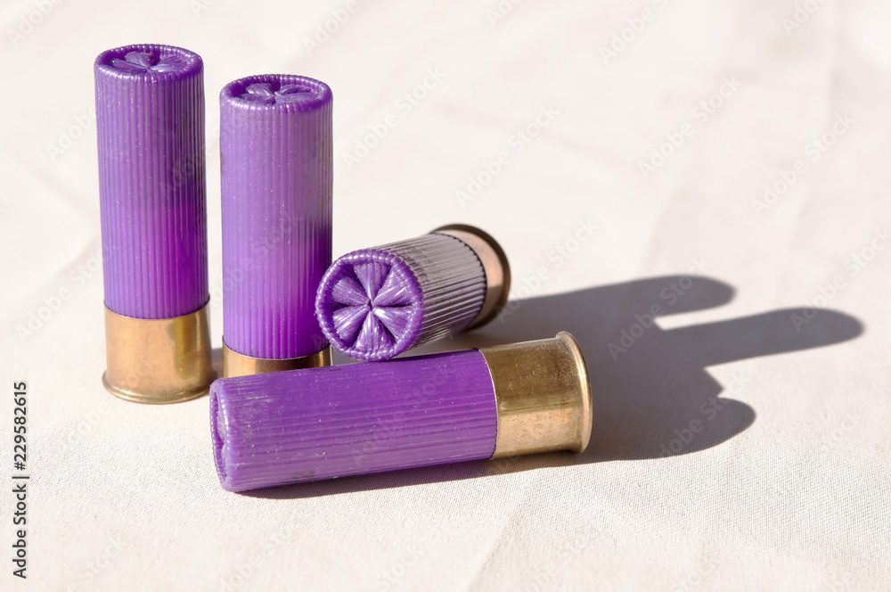 Four purple 16 gauge shotgun shells on a white background casting their ...