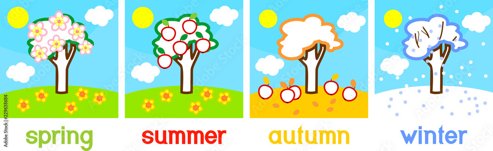 Tree Life Cycle Coloring Page