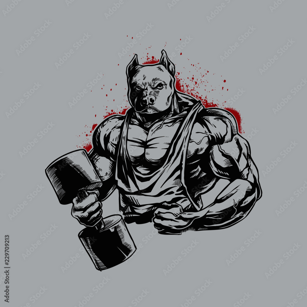Pitbull Bodybuilder bring dumbbell for gym logo mascot Stock Vector ...