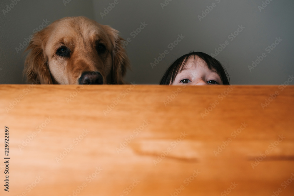 Foto de Girl hiding behind a table with her dog do Stock | Adobe Stock