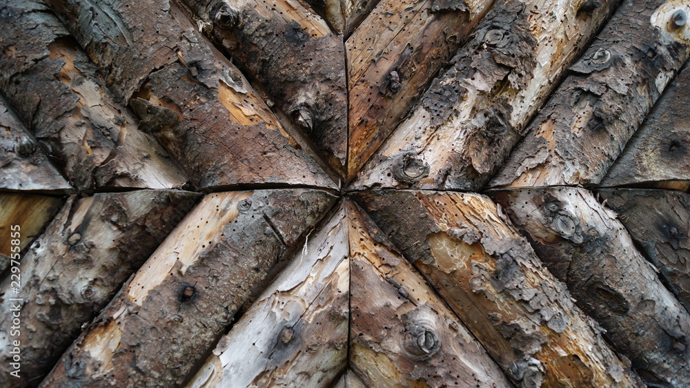 Textured Patterns formed on wood tree bark for background images Stock ...