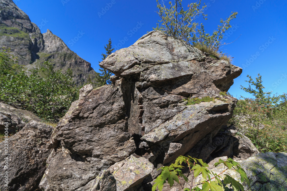 Optical illusion on rocks. Visible dog face shape formed by falling ...