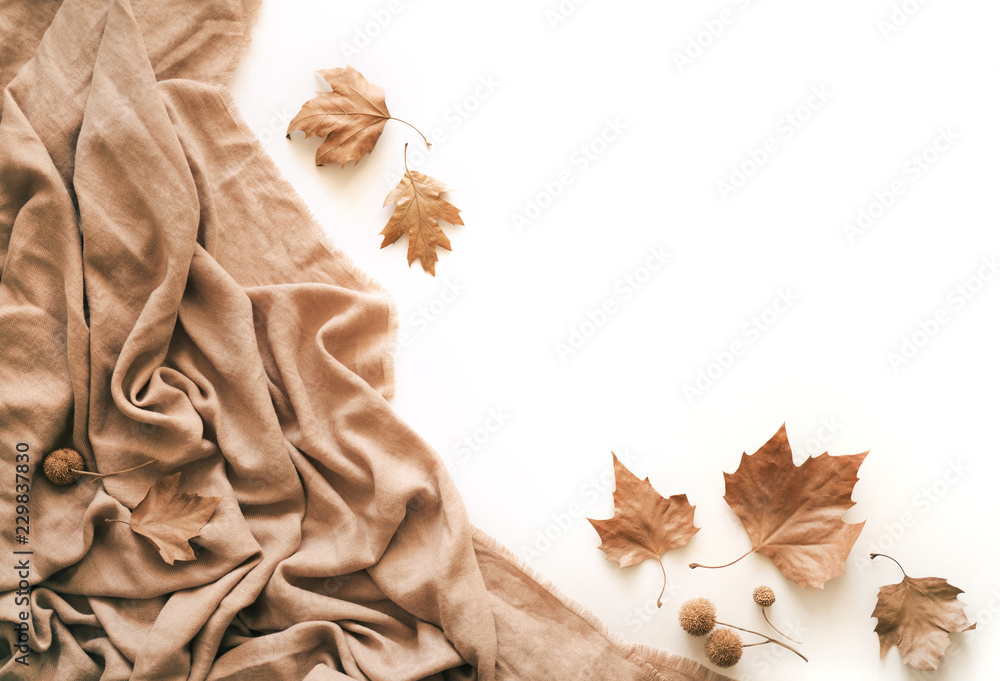 Autumn top view flat lay with copy space for text. Fall leaves and ...