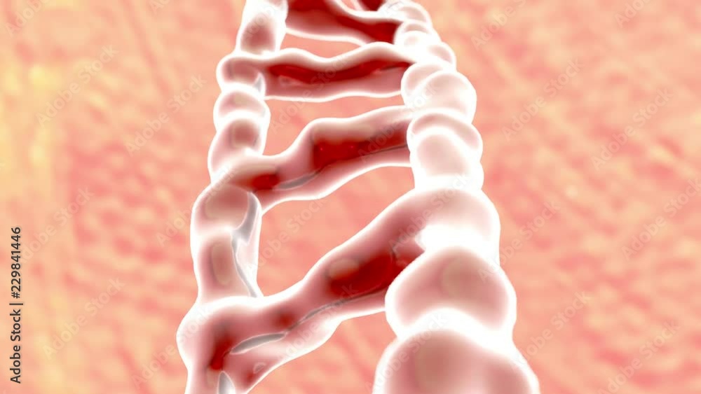 Revolving DNA complete polymerase chain reaction real time pcr taq ...