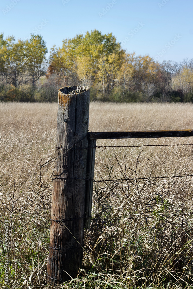 Old Wooden Fence Post