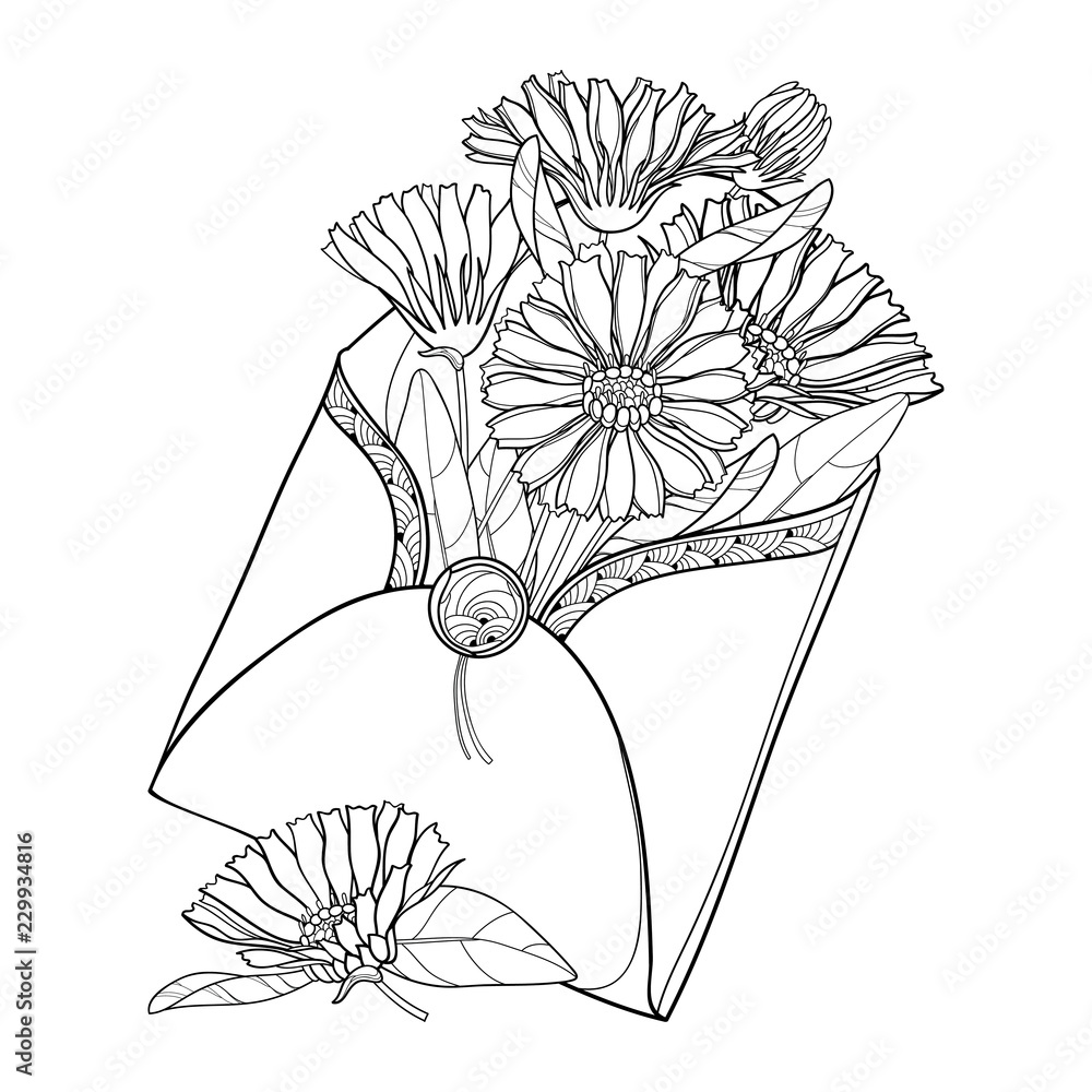 Vector bouquet of outline Calendula officinalis or marigold, bud, leaf ...