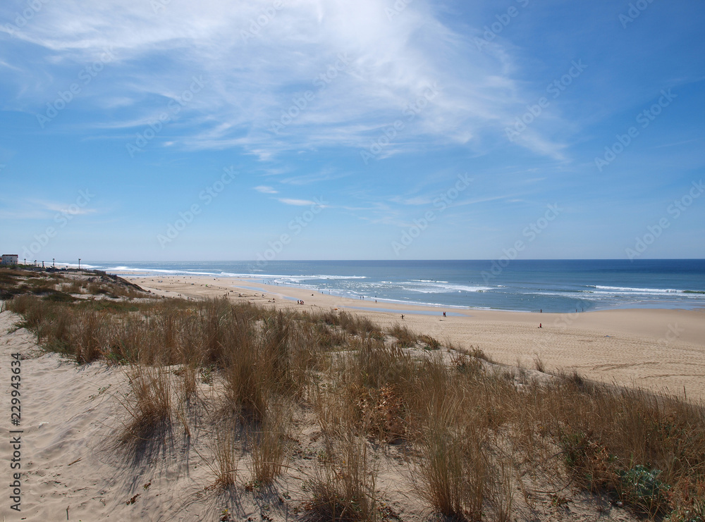 Foto de Biscarrosse plage. Point de vue des dunes sur l'immense plage ...