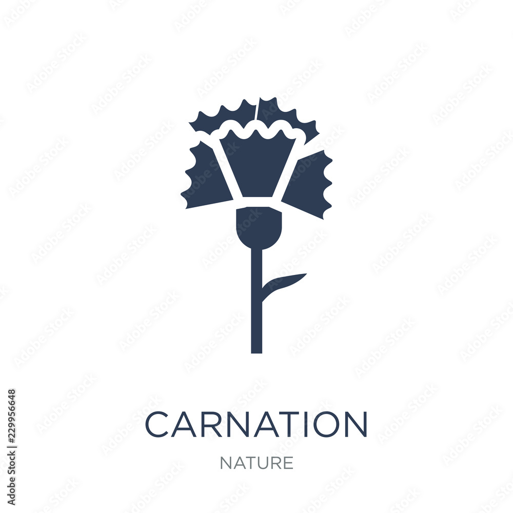 Carnation icon. Trendy flat vector Carnation icon on white background ...