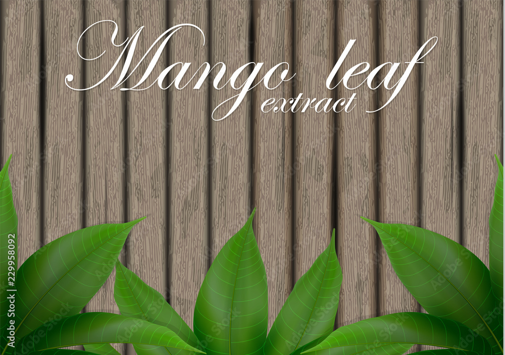 Mango leaves background for banner, celebration, holiday, packaging ...