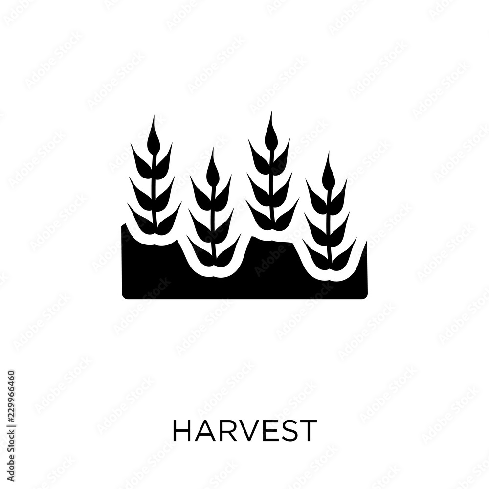 Harvest Symbol