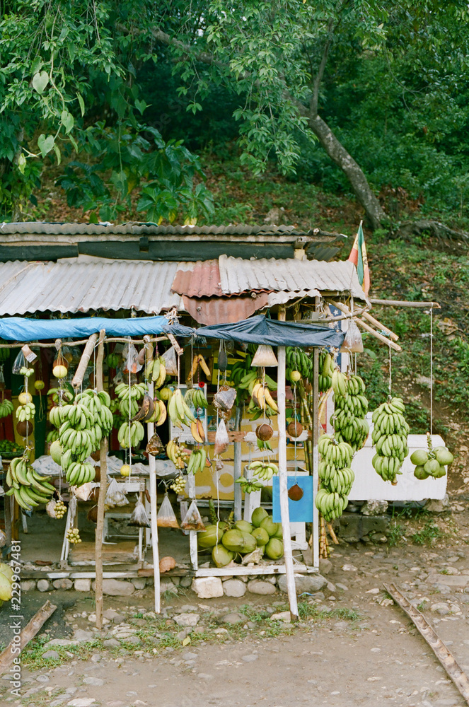 Jamaican Fruit stand Stock Photo | Adobe Stock