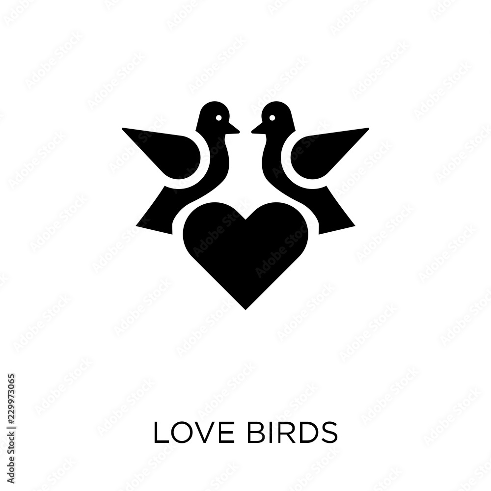 Love Birds Icon