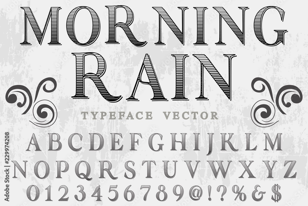 Font. Typeface. Script. Old style - vintage script font. Vector ...