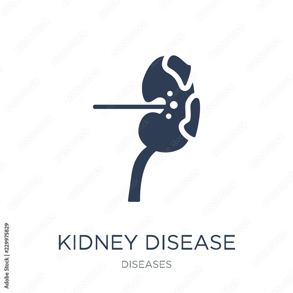 Kidney Disease (Chronic Kidney Disease) icon. Trendy flat vector Kidney ...