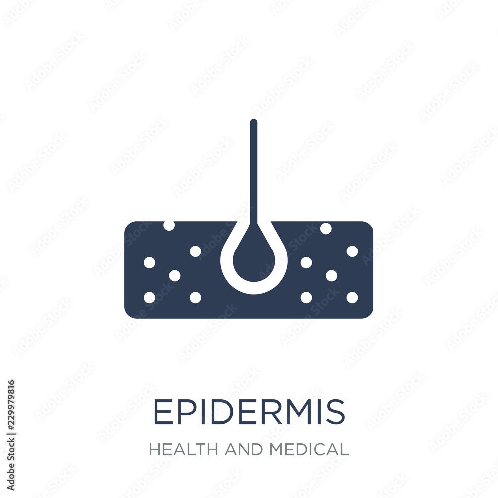 Epidermis icon. Trendy flat vector Epidermis icon on white background ...