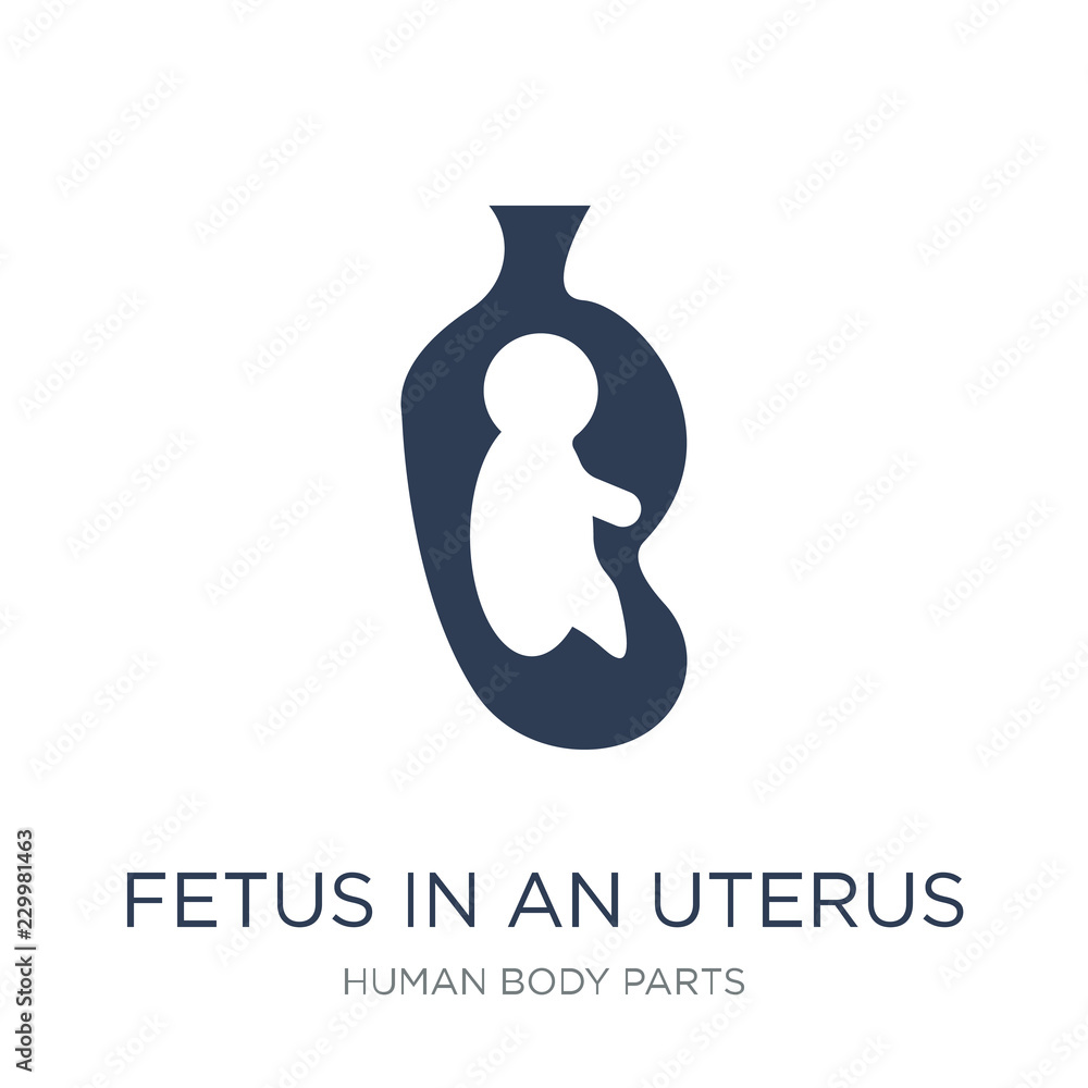 Fetus in an uterus icon. Trendy flat vector Fetus in an uterus icon on ...