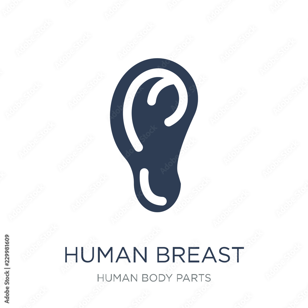 Human Breast icon. Trendy flat vector Human Breast icon on white ...