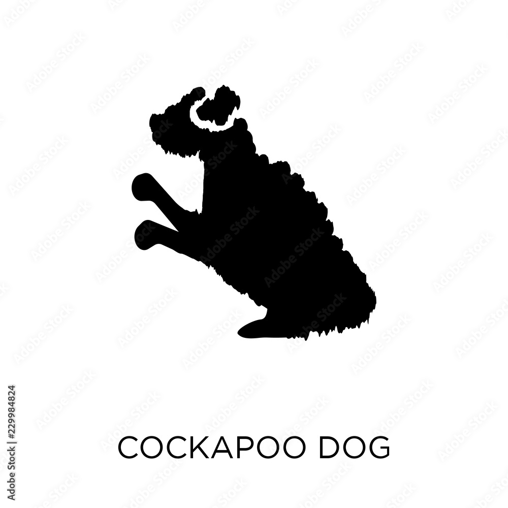 Cockapoo dog icon. Cockapoo dog symbol design from Dogs collection ...