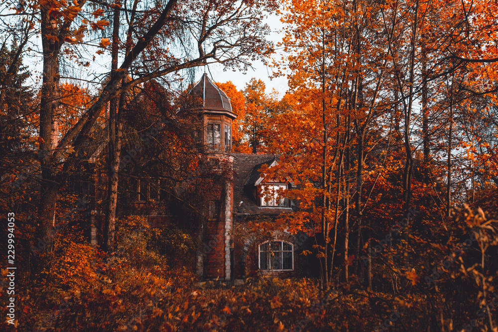 Manor house with trees in autumn colors and fall trees. Old Victorian ...