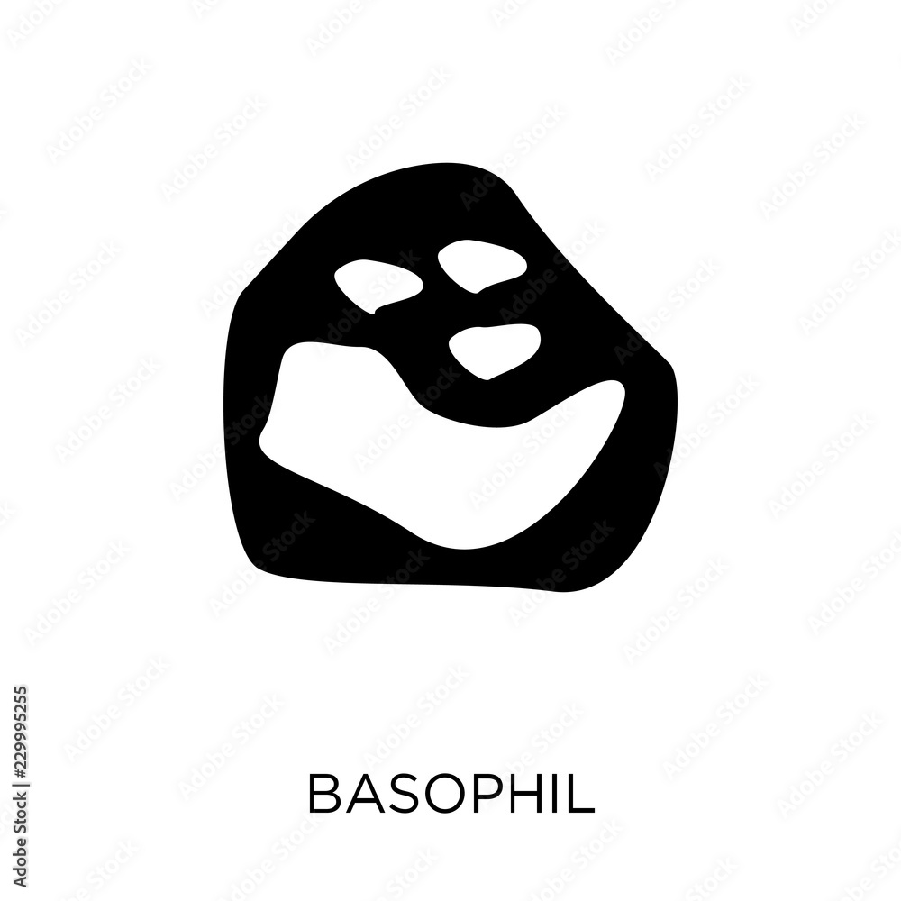 Basophil icon. Basophil symbol design from Human Body Parts collection ...