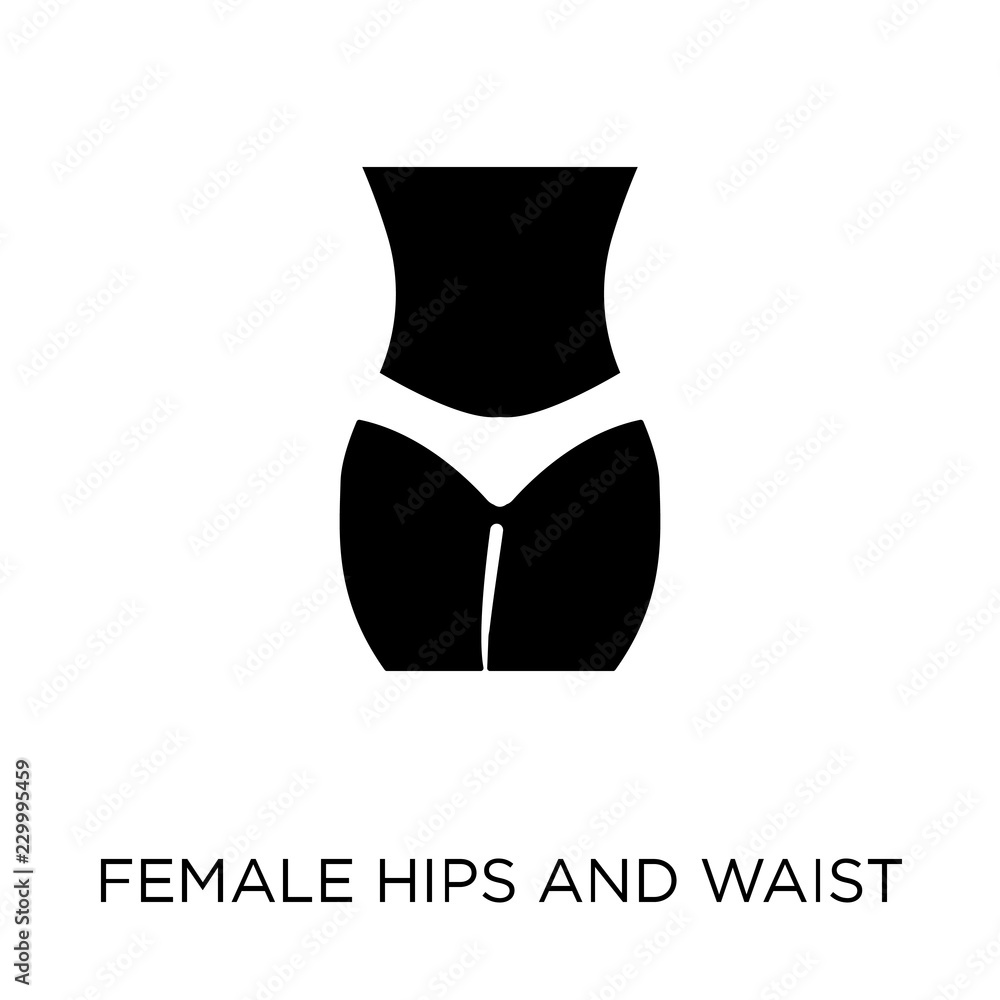 Female hips and waist icon. Female hips and waist symbol design from ...