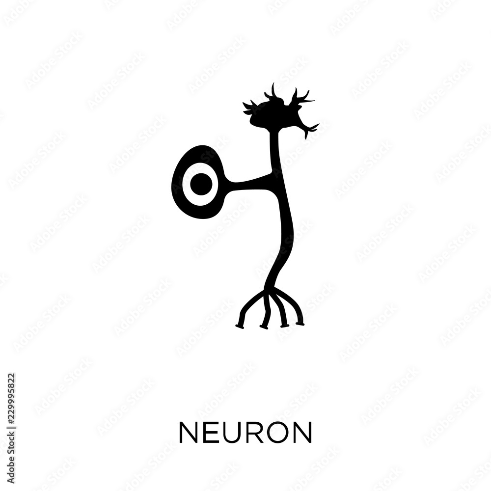 Neuron icon. Neuron symbol design from Human Body Parts collection ...
