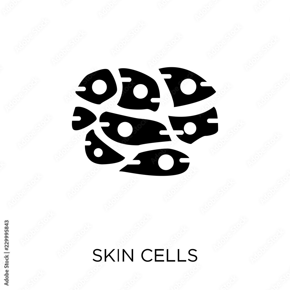 Skin Cells icon. Skin Cells symbol design from Human Body Parts ...