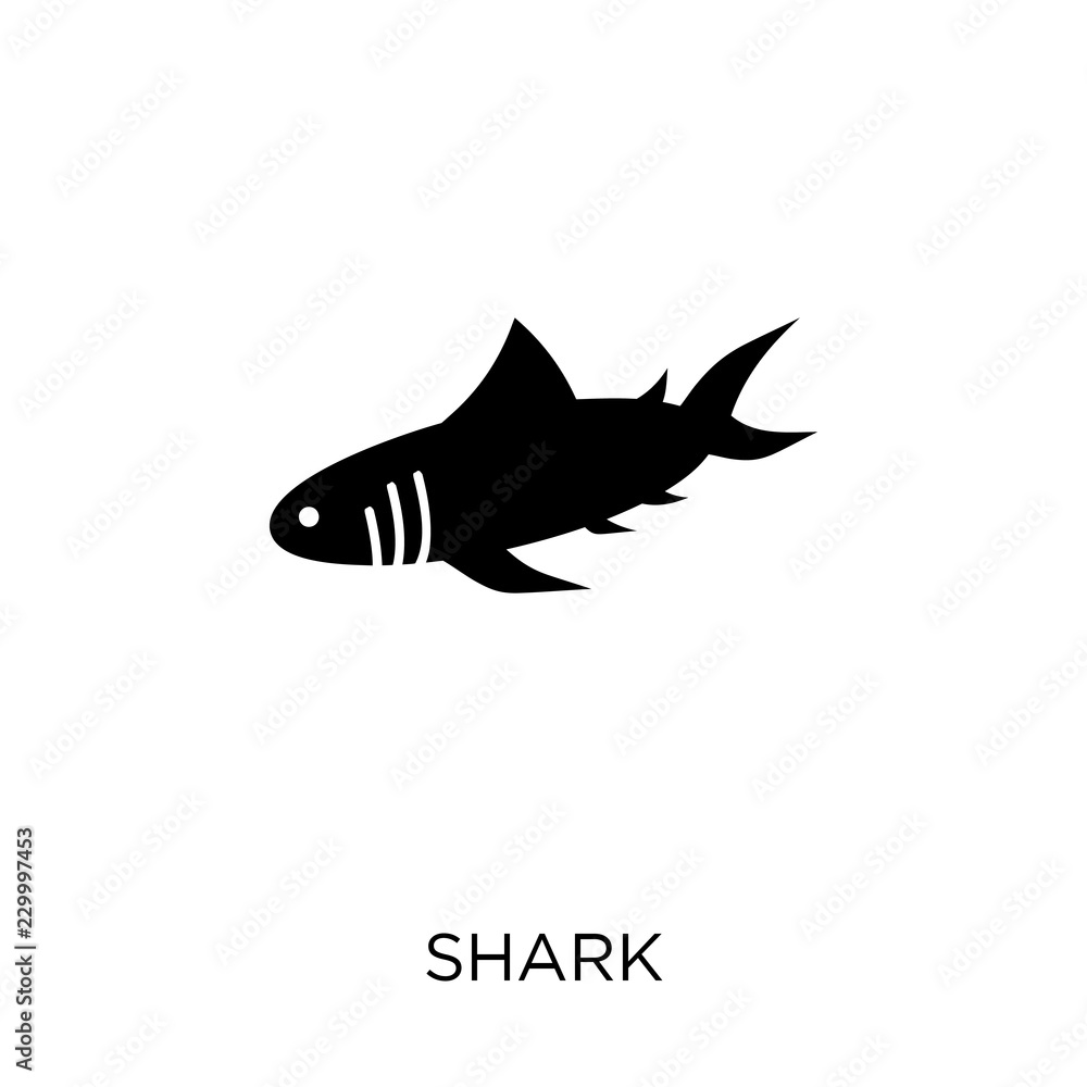 Shark icon. Shark symbol design from Animals collection. Stock Vector ...
