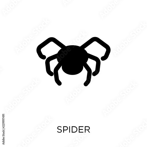 Spider Icon