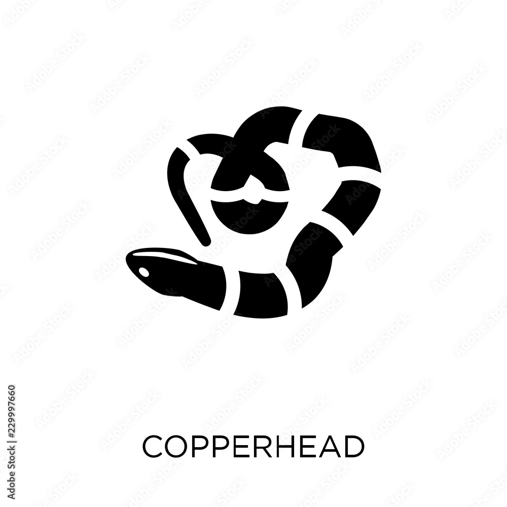 copperhead icon. copperhead symbol design from Animals collection ...