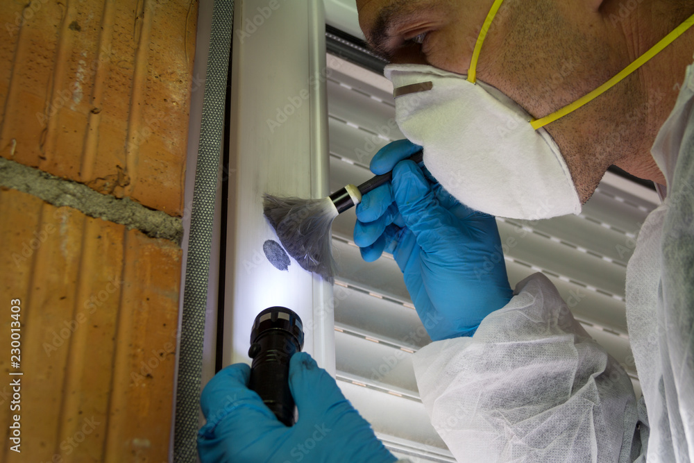 Forensic expert find fingerprints on the window with help brush and ...