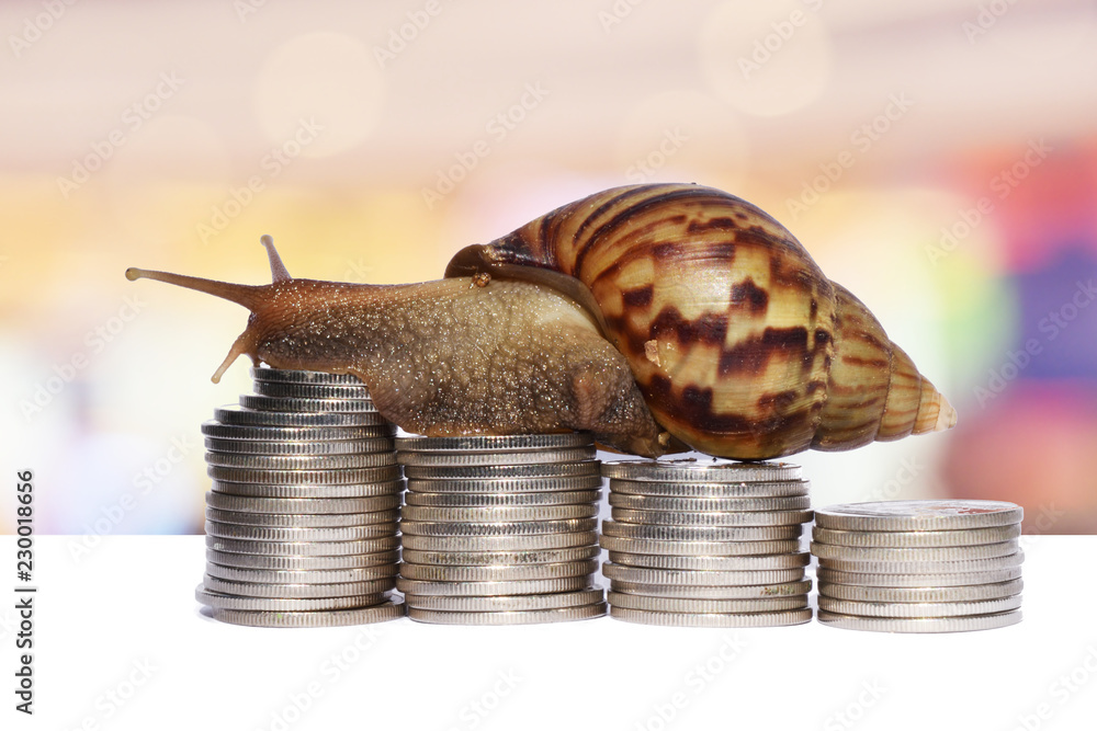 Brown snail climbing the pile of coins with bright colorful background ...