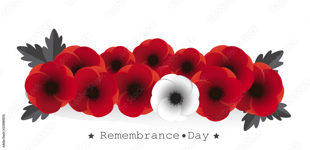 Remembrance day vector. Poppy flowers on white background illustration ...