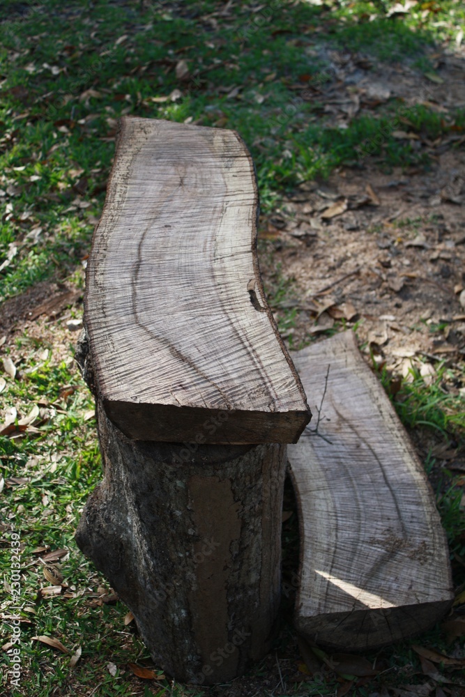 Poster log bench, stumps, logs, leftover's form hericane Irma, backyard ...