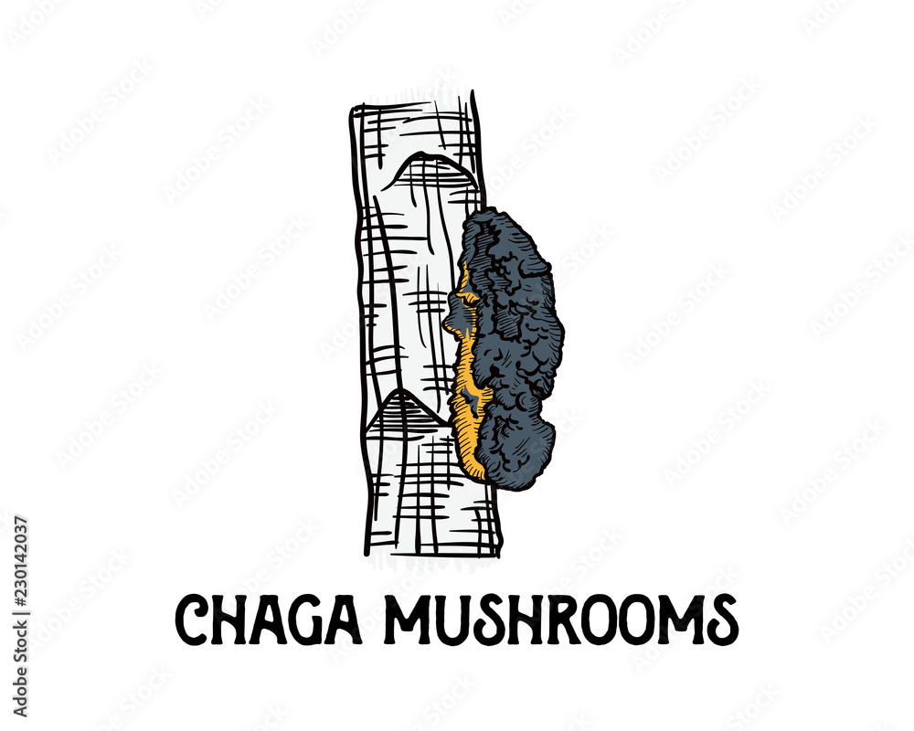Line Art Hand Drawing Vector Chaga Mushrooms on the Logs Sign Symbol ...