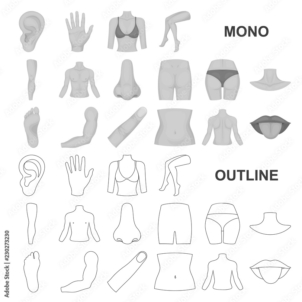 Part of the body, limb monochrom icons in set collection for design ...